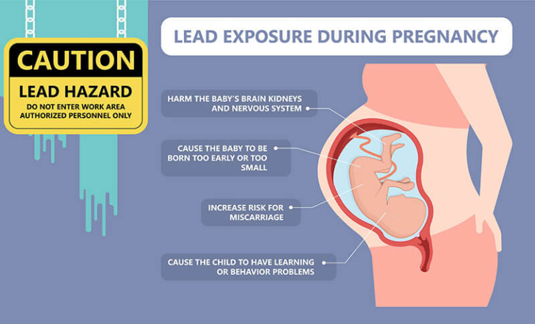 Preparing for pregnancy: the impact of maternal heavy metal exposure on ...